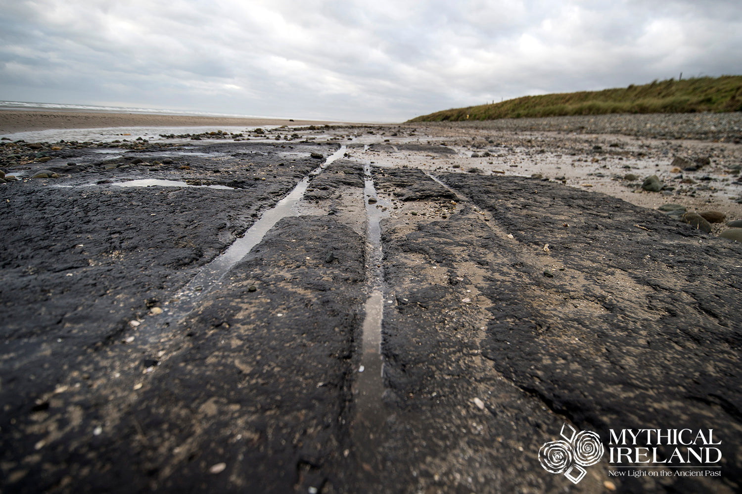 Strange tracks revealed by storm in ancient bog at Irish beach ...